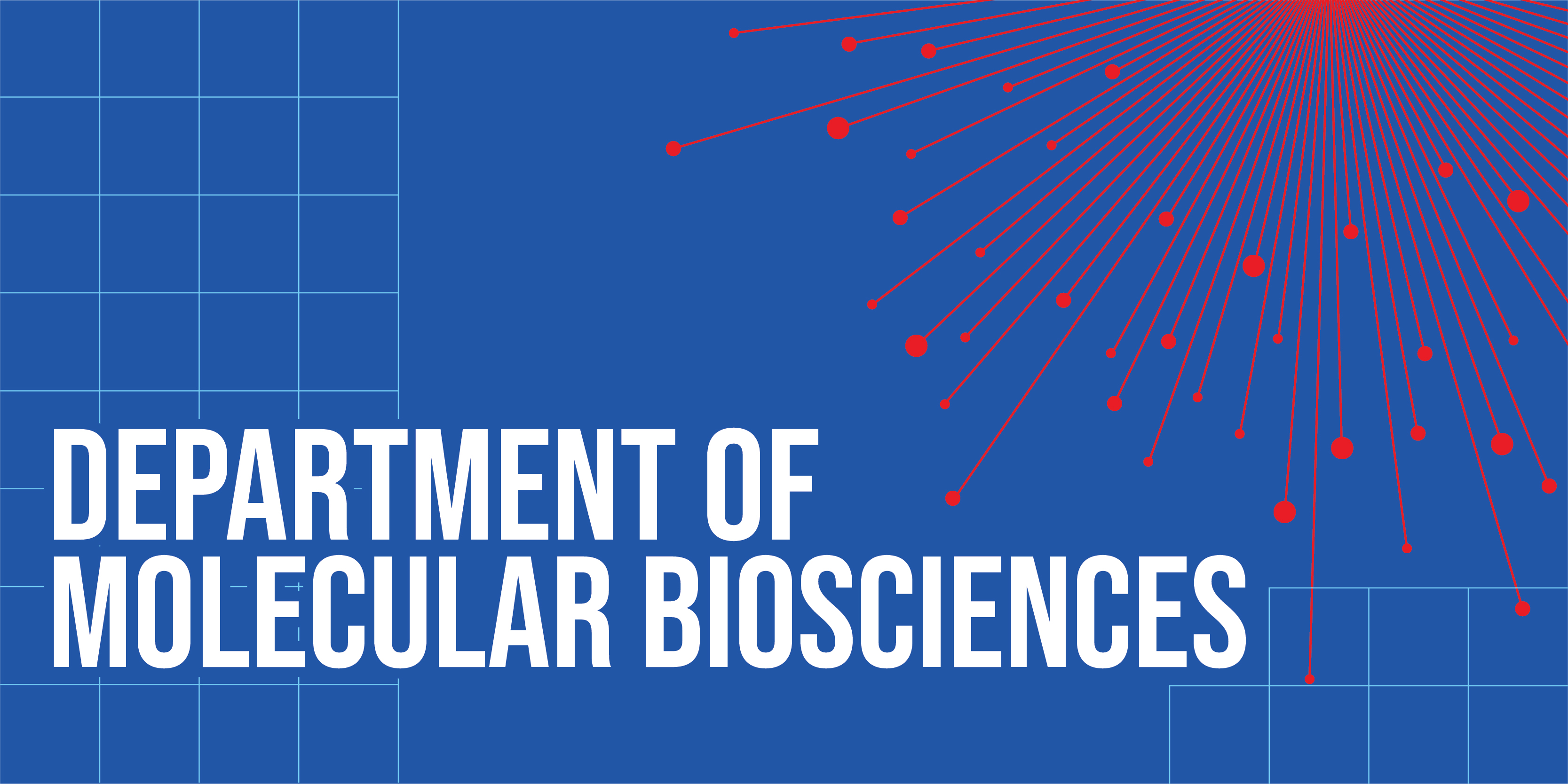 MB Trainees Accomplishments Summer 2025 | Molecular Biosciences