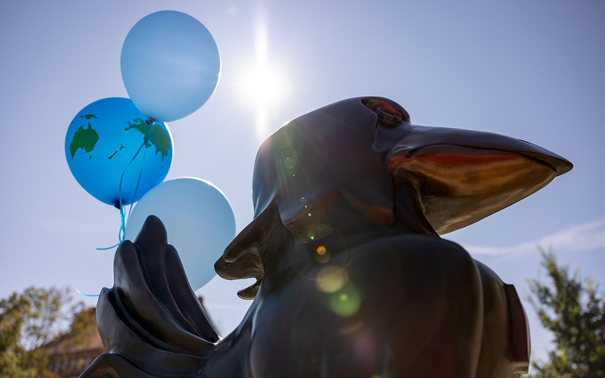 J. Megan Greene named associate vice provost for international and ...