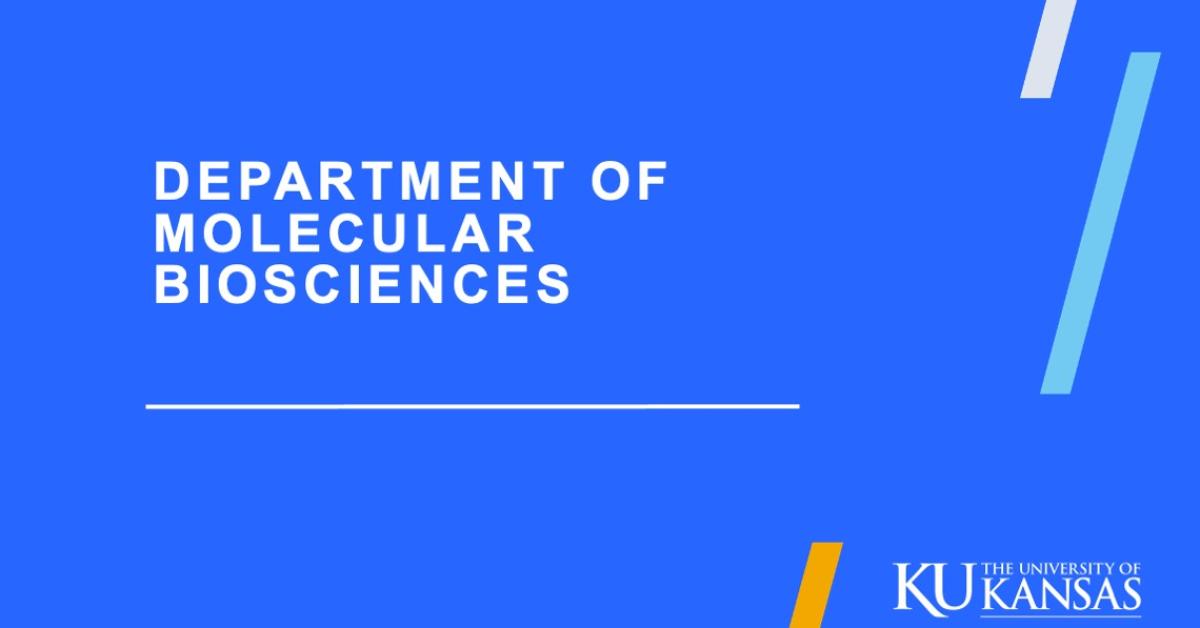 New NSF award to support collaborative research | Molecular Biosciences