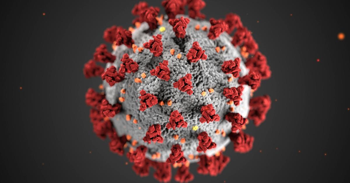 Three-year grant will fund study on coronavirus evolution and that ...