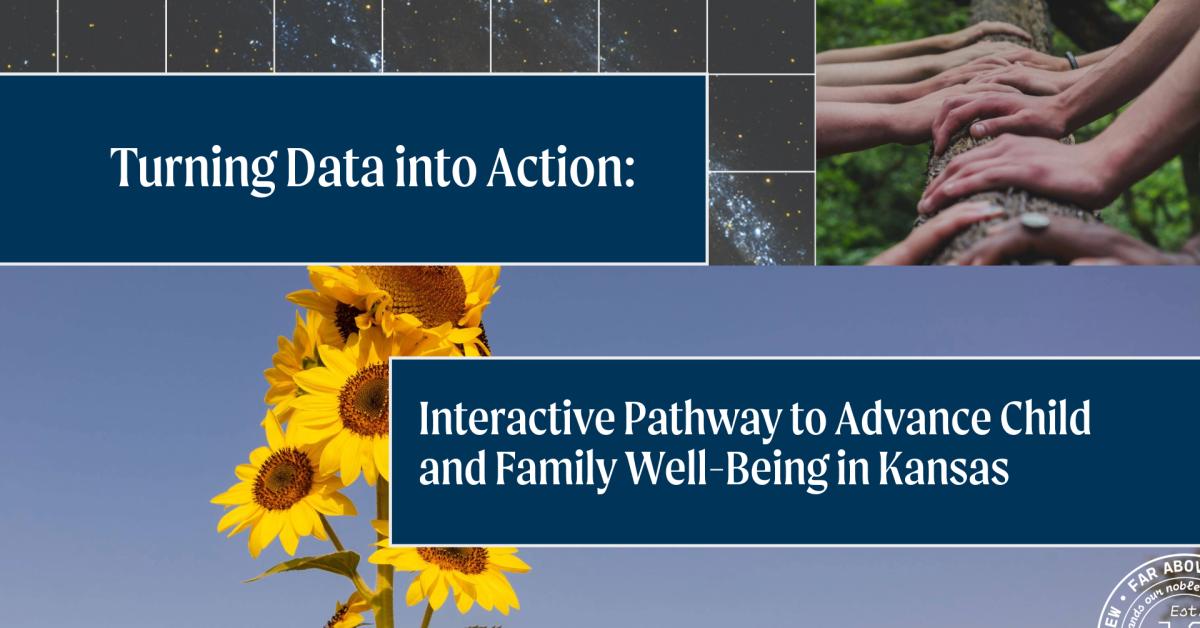 Turning Data into Action: Interactive Pathway to Advance Child and ...