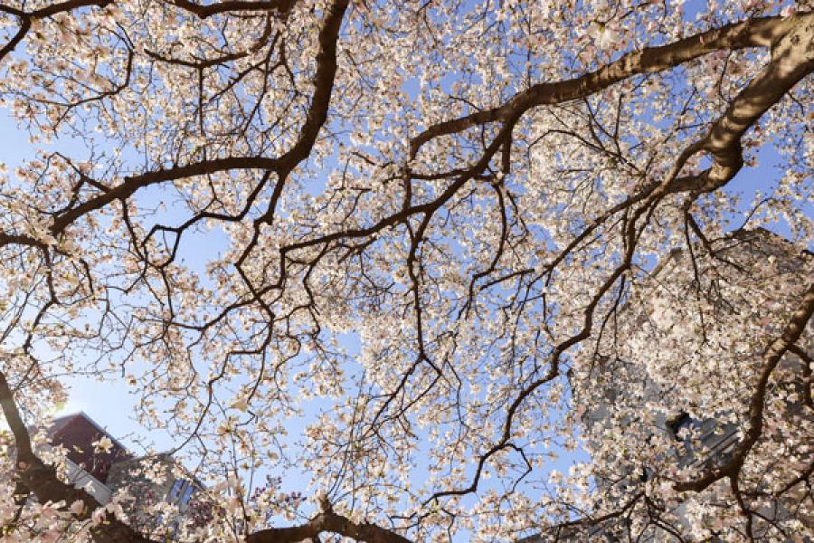 University of Kansas School of Social Welfare